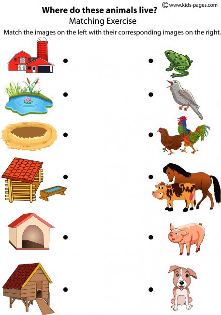 Worksheets On Animals And Their Homes