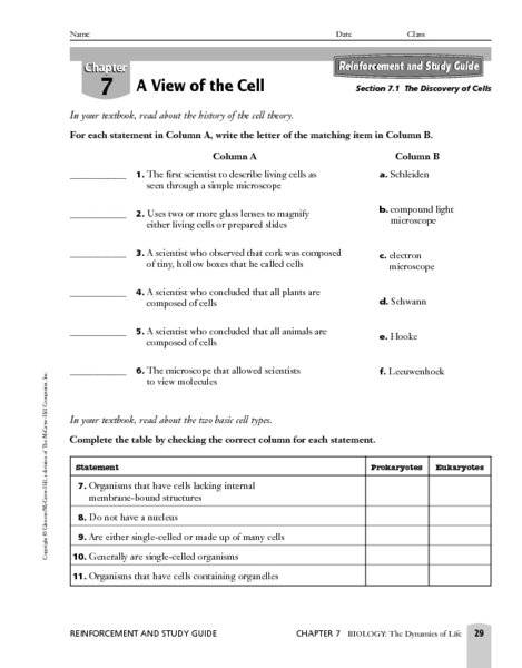 Cell Theory Worksheets