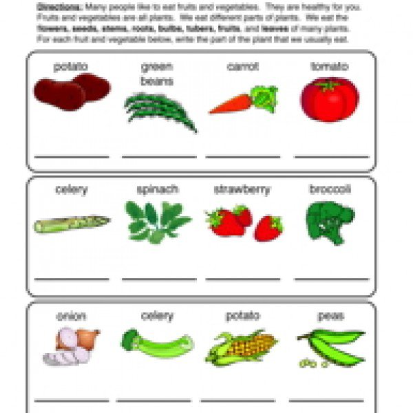 Edible Parts Of A Plant | Free Worksheets Samples