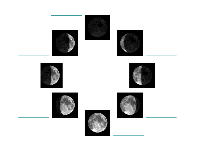 Eight Phases Circular Diagram With Different Moon Phases | Free ...