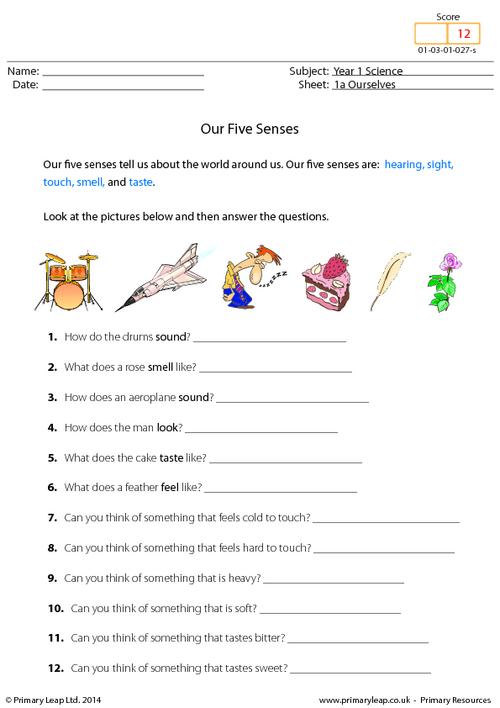 Senses Worksheets For Grade 2