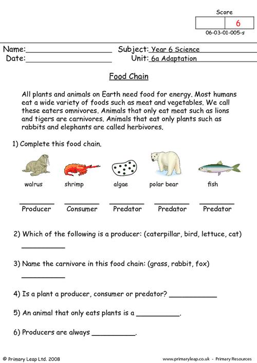 Free Printable Food Chain Worksheets