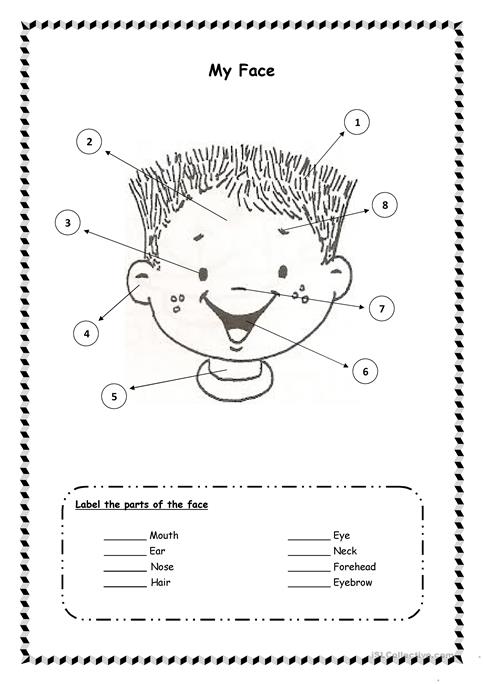 Parts Of The Face Worksheet | Free Worksheets Samples