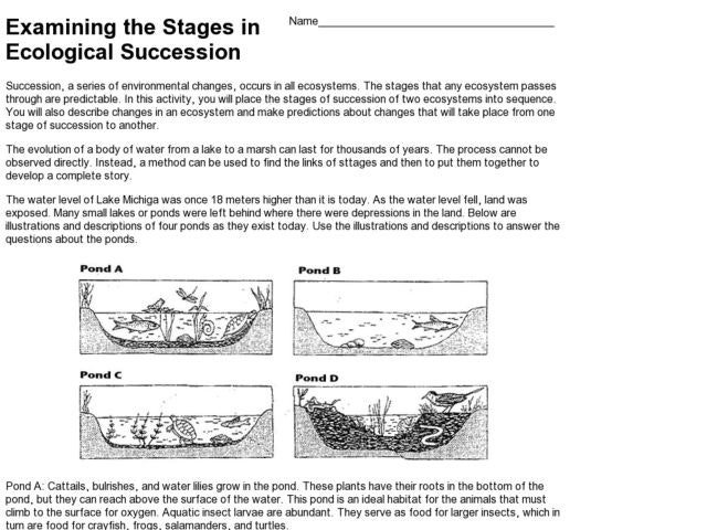 Ecological Succession Worksheet Answers | Free Worksheets Samples