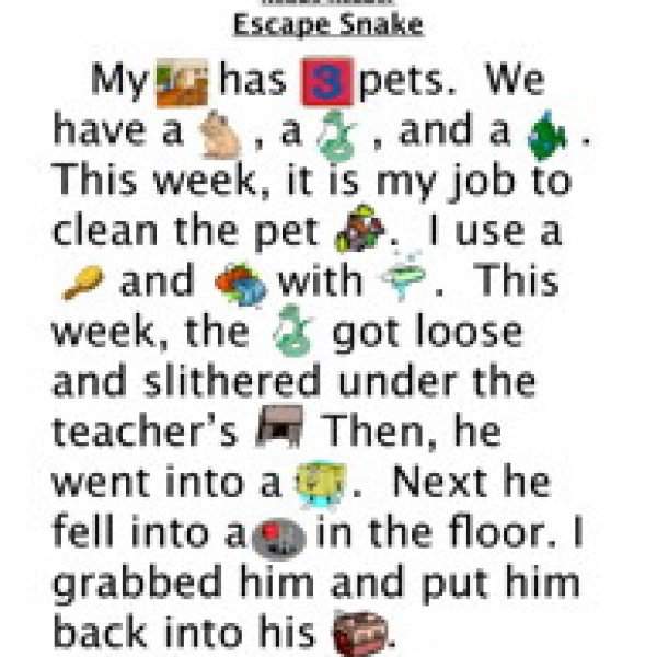 Rebus Writing Worksheets