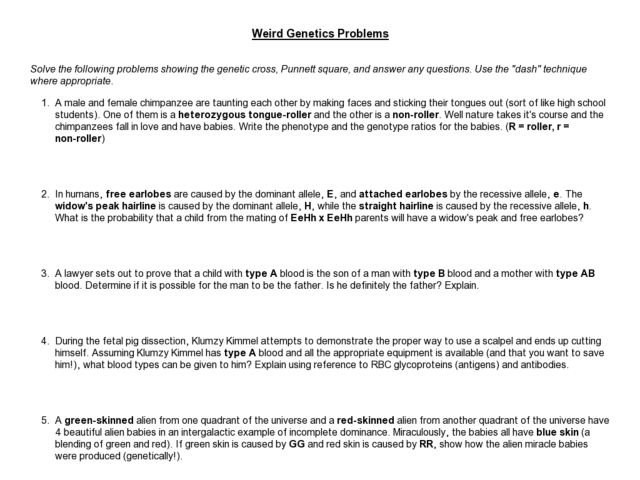 Genetics Problems Worksheets Answers