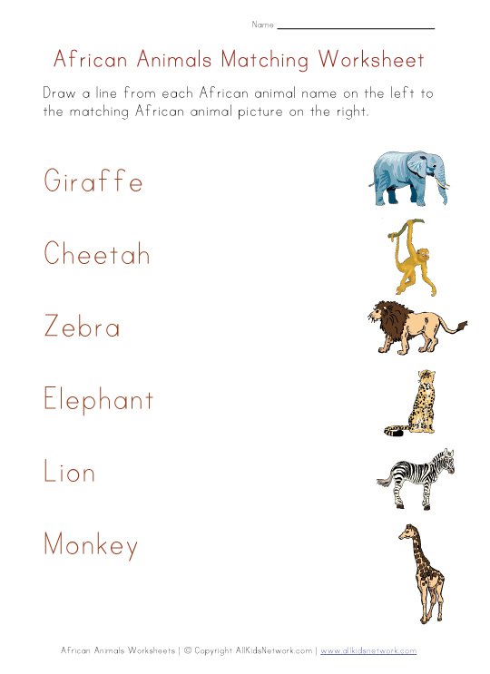 Jungle Animals Worksheets | Free Worksheets Samples