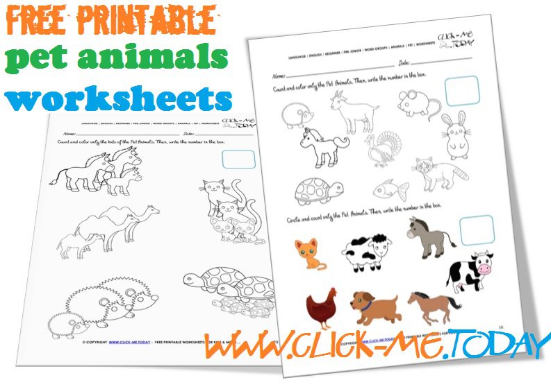 Pet Animals Worksheets Kindergarten