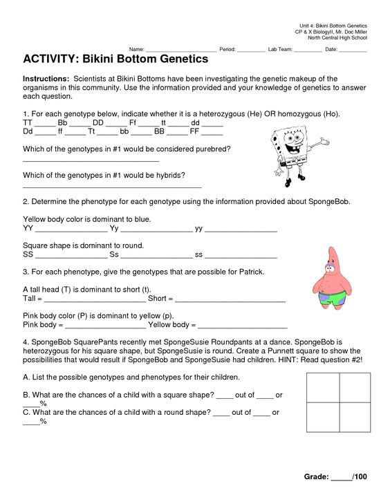 Spongebob Science Worksheet | Free Worksheets Samples