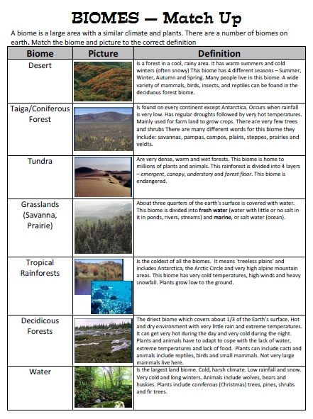 Biomes Match Up | Free Worksheets Samples