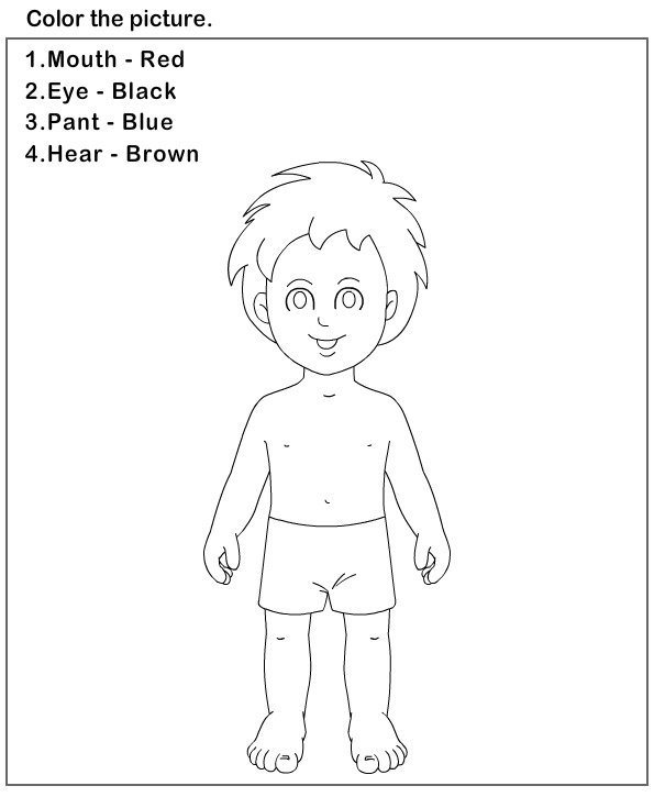 My Body Kindergarten Worksheets