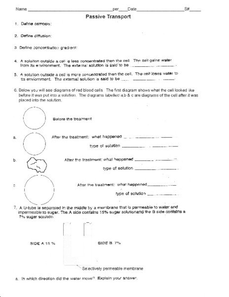 Cell Transport Worksheet Answer Key | Free Worksheets Samples