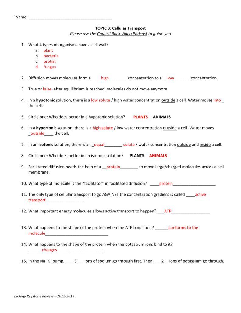 Cellular Transport Worksheet Key Term Paper Academic Writing | Free ...
