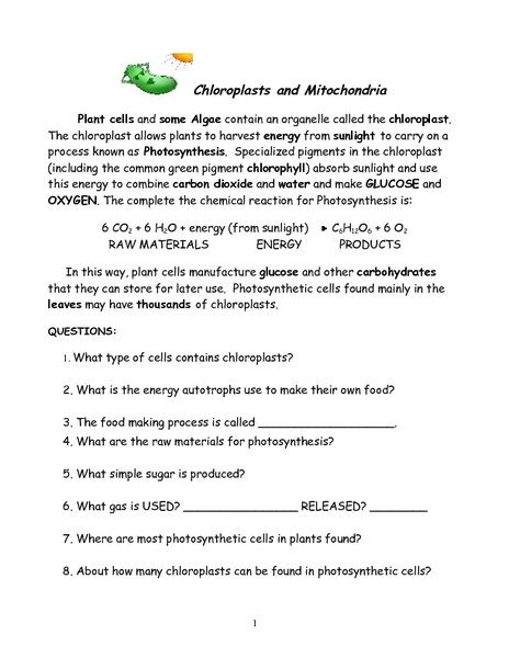 Chloroplasts And Mitochondria Worksheets Answer Key