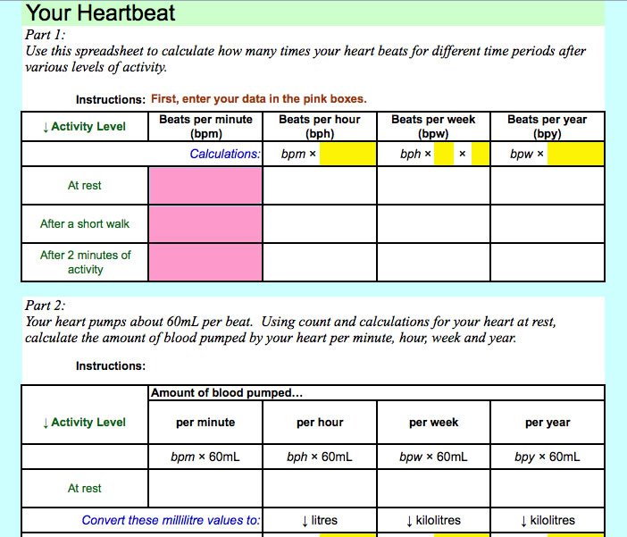 Heart Rate Worksheets