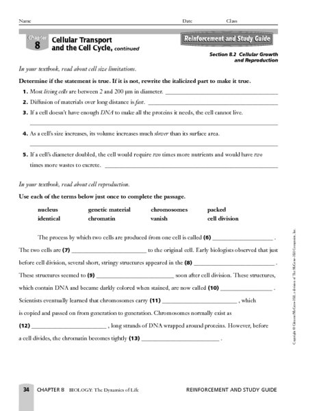 Cellular Transport Worksheets Answer Key