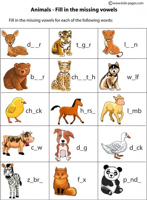 Animals Worksheets Pdf