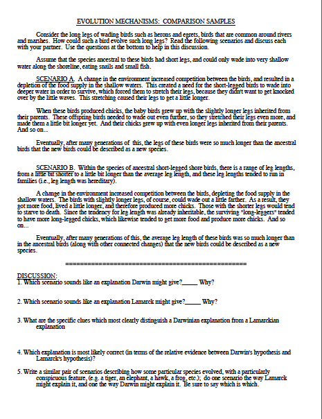 Evolution By Natural Selection Worksheets Answer Key