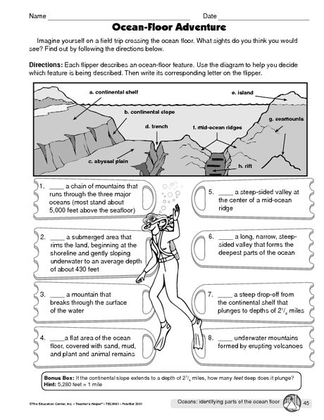 Grab This Wonderful Diagram Of The Ocean Floor For A Good Labeling ...