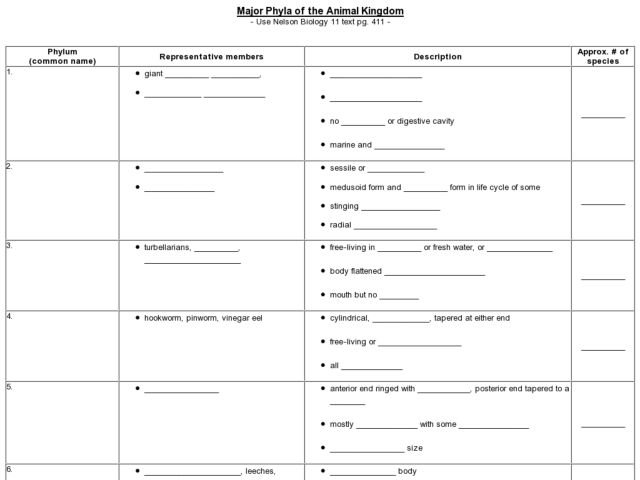 Kingdom Classification Worksheet Animal Kingdom Classification | Free ...