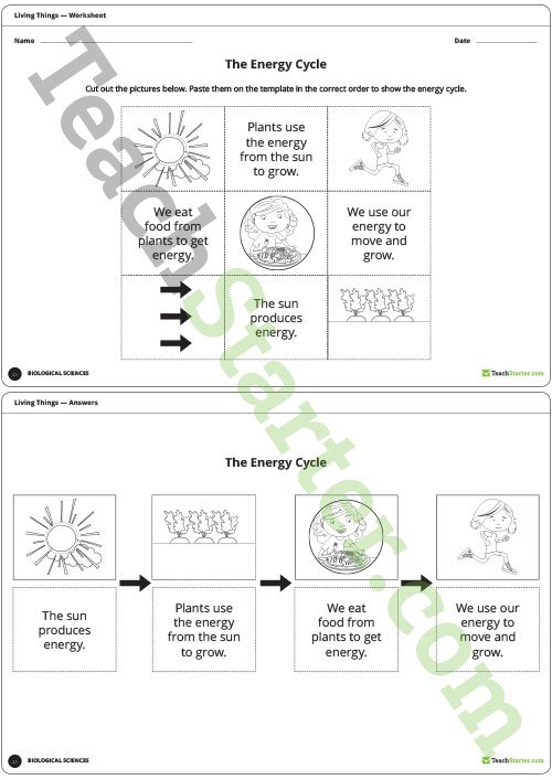 The Energy Cycle | Free Worksheets Samples