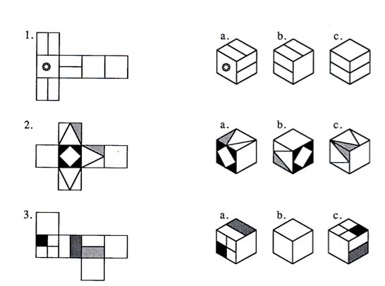 Nets Of A Cube Worksheets