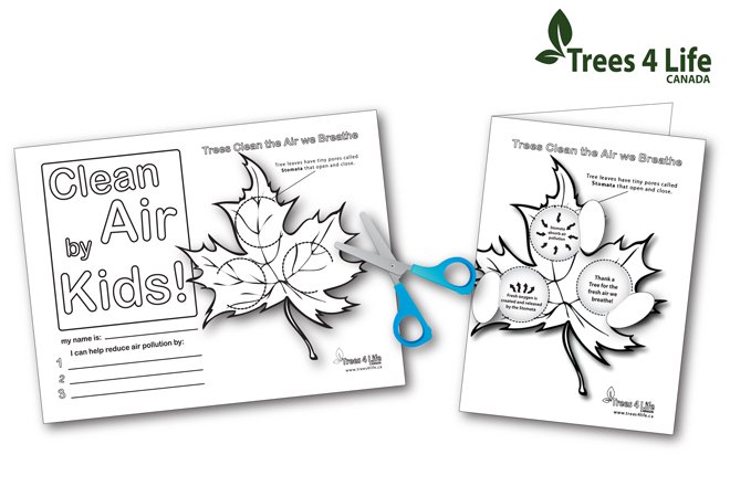 An Example Photocopy | Free Worksheets Samples