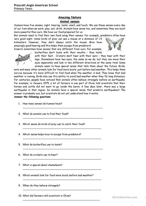 Animal Senses Worksheets