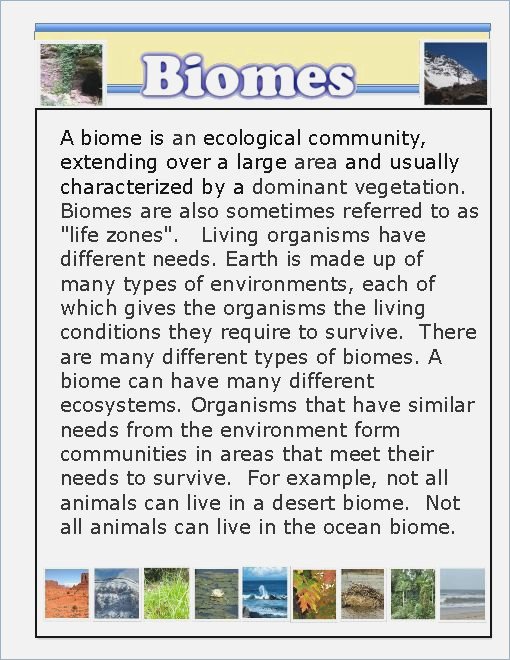 Biome Worksheets Middle School