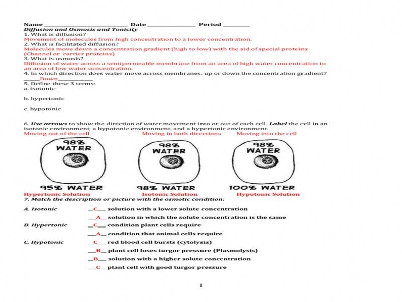 Cell Membrane And Tonicity Worksheet Answers The Best Worksheets | Free ...