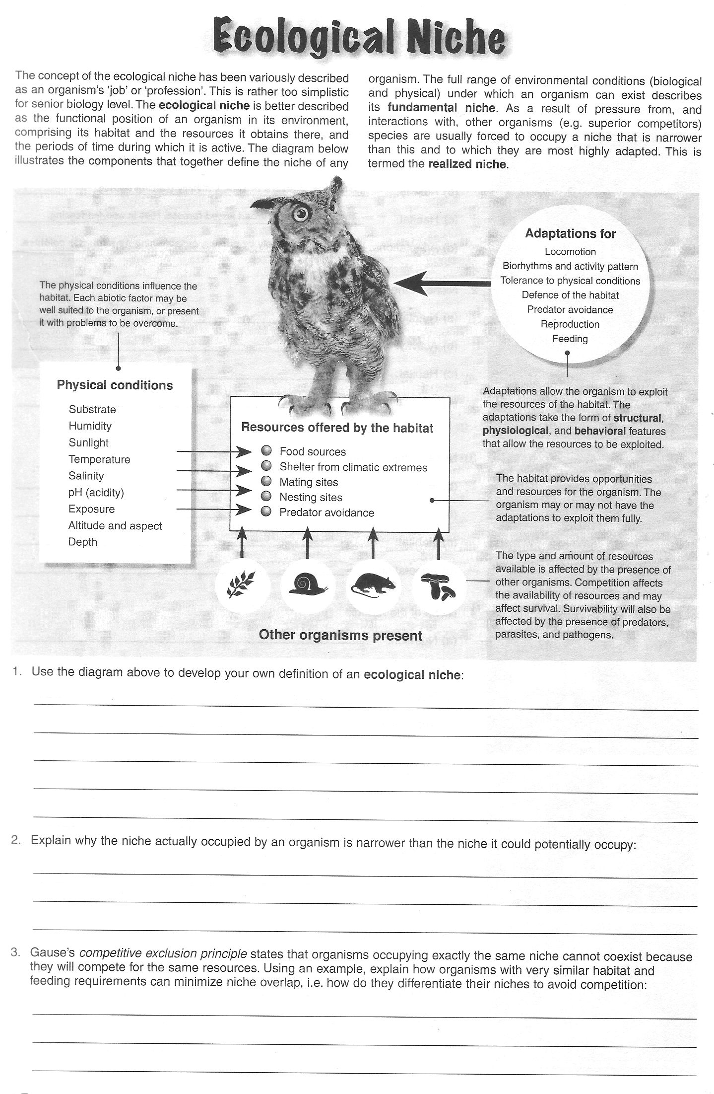 Comfortable Ecology Worksheet Fun Activities For Kids Worksheets | Free ...