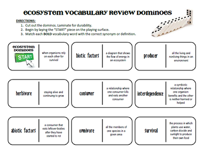 Ecosystem Vocabulary Dominoes | Free Worksheets Samples