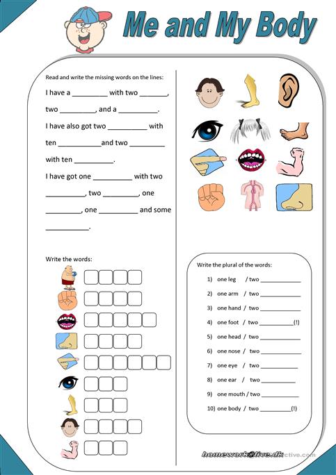 Worksheets My Body