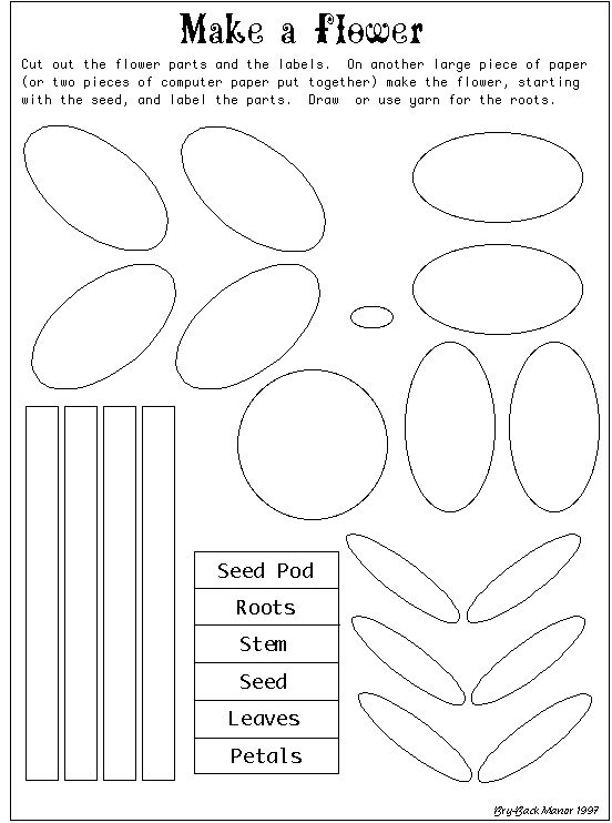 Parts Of A Plant Cut And Paste Worksheet Worksheets For All | Free ...