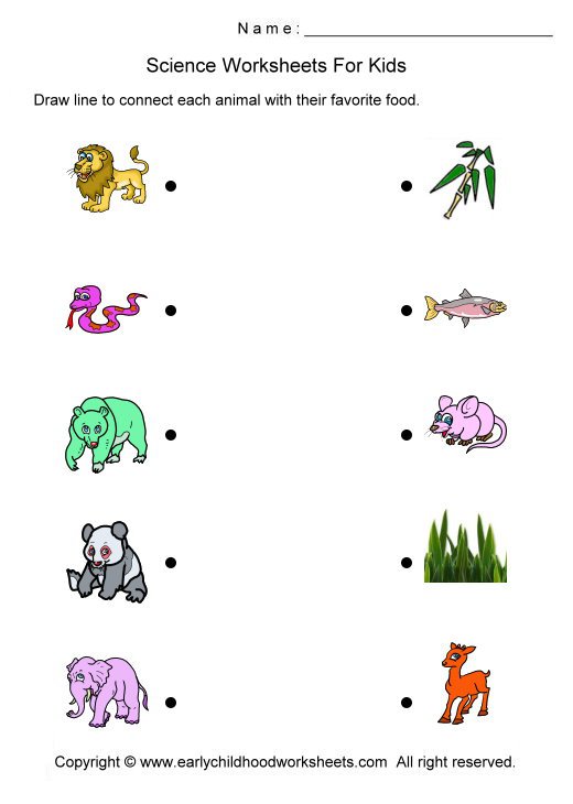 Printable Worksheets For Kindergarten Science | Free Worksheets Samples