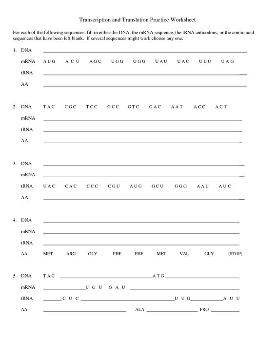 Translation Practice Worksheet | Free Worksheets Samples