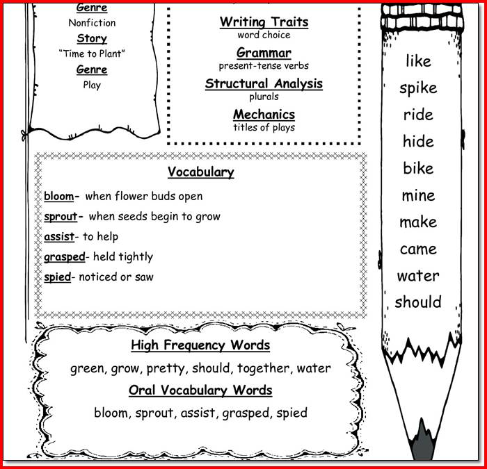 First Grade Social Studies Worksheets