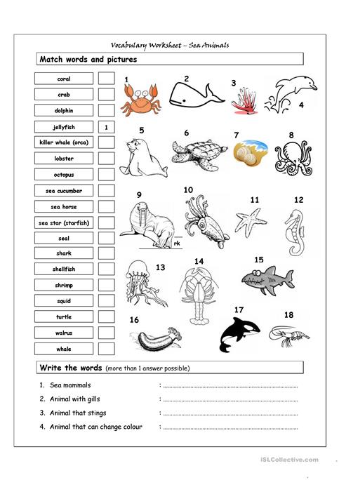 Vocabulary Matching Worksheet | Free Worksheets Samples
