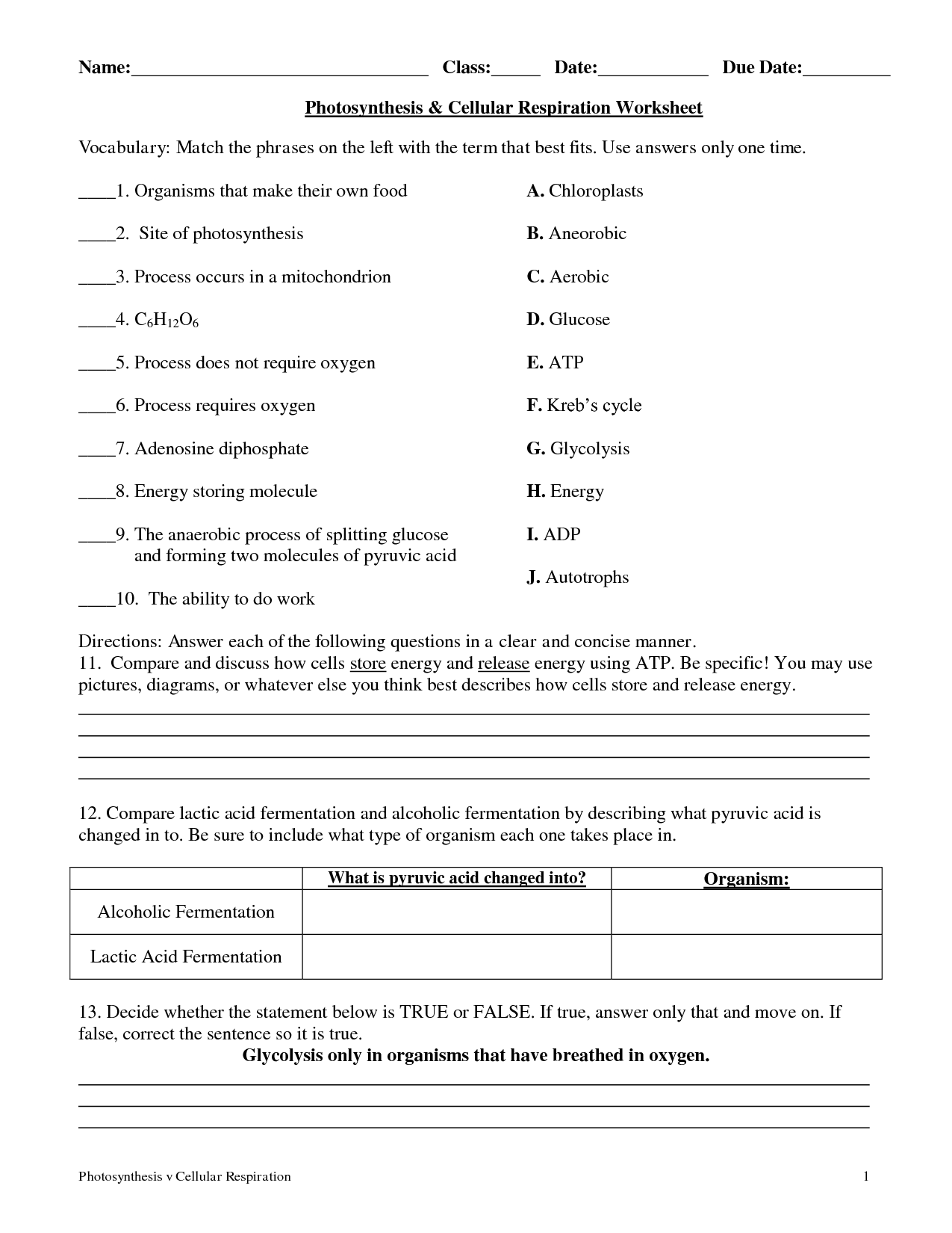 Photosynthesis Vs Respiration Worksheets