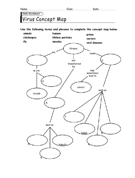 Inspiration Biology Virus Worksheets For Virus Concept Map 6th Free Worksheets Samples