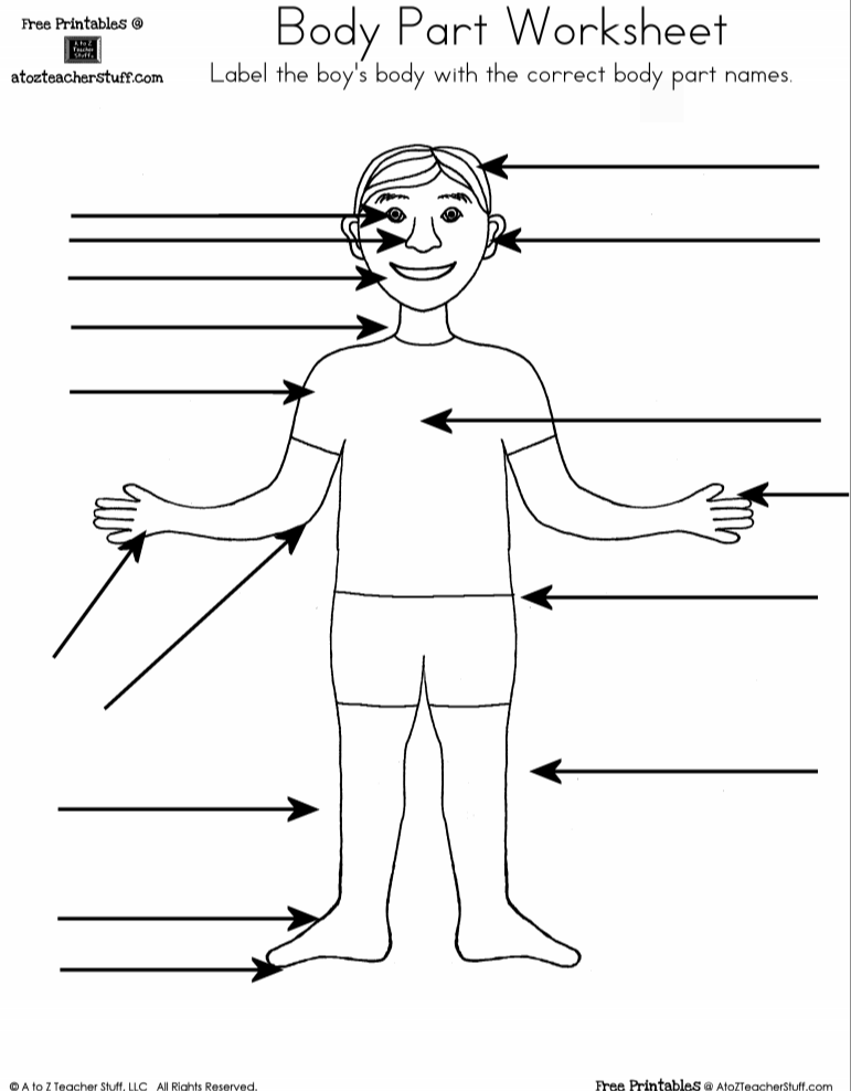 Label Body Parts In Spanish | Free Worksheets Samples