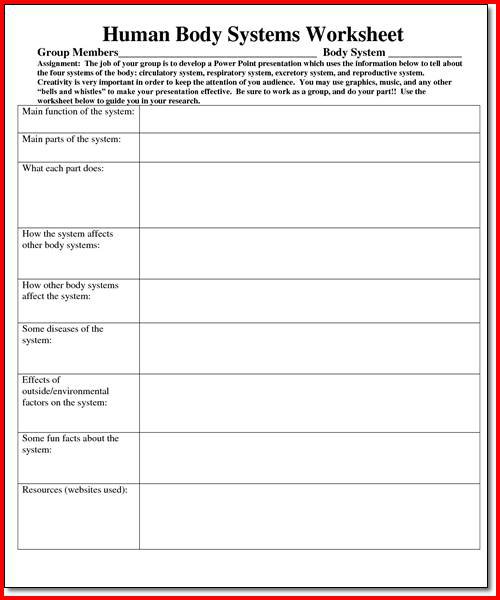 Middle School Health Worksheets