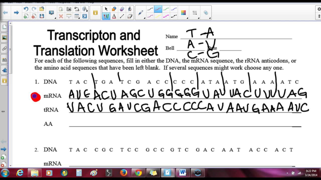 Transcription Practice Worksheets