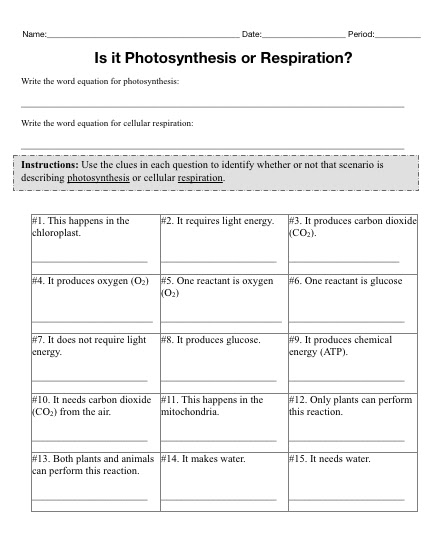 Cellular Respiration Worksheet Middle School 8383 | Free Worksheets Samples
