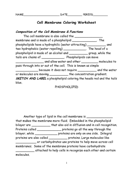 Collection Of Cell Membrane Coloring Worksheet Answers | Free ...