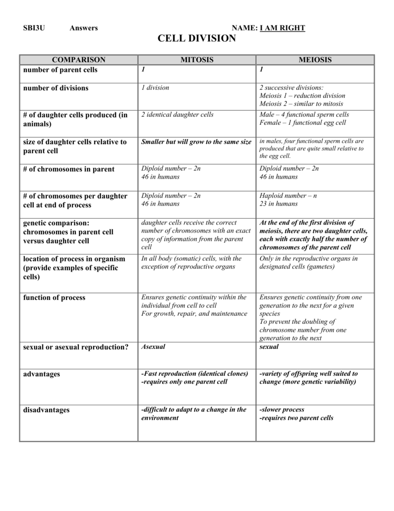 Diagrams Comparing Mitosis And Meiosis | Free Worksheets Samples