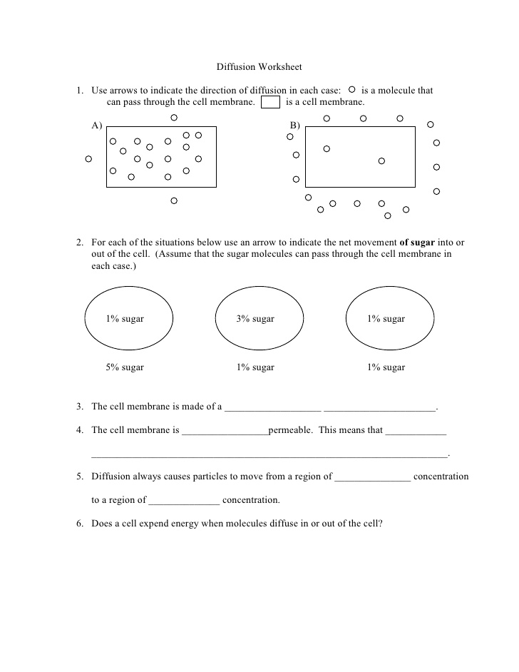 Diffusion Student Worksheet, Osmosis And Diffusion Worksheet | Free ...