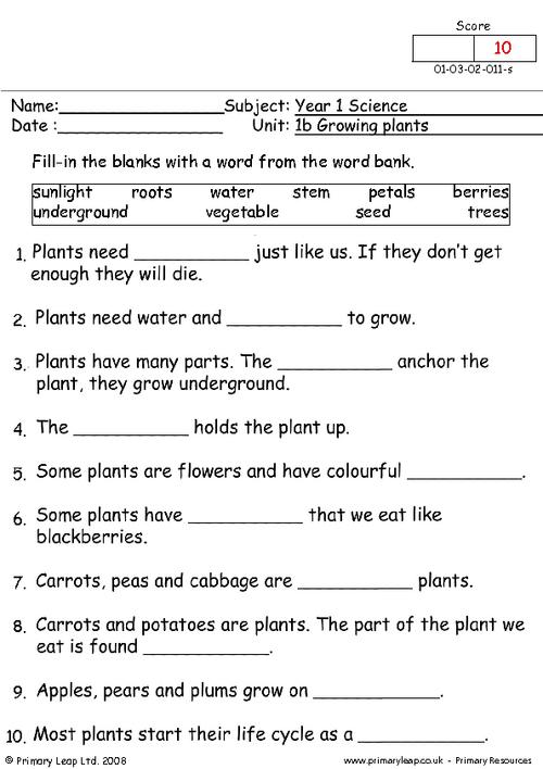Types Of Plants Worksheets For Grade 2