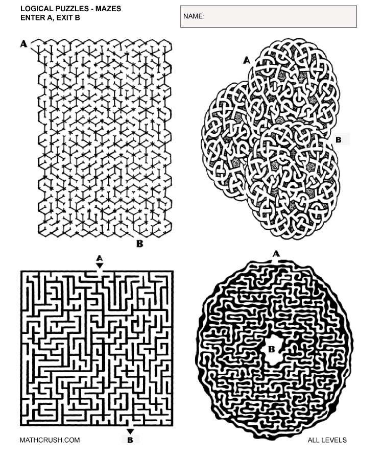 Logic Math Word Problems Worksheets 702325 | Free Worksheets Samples