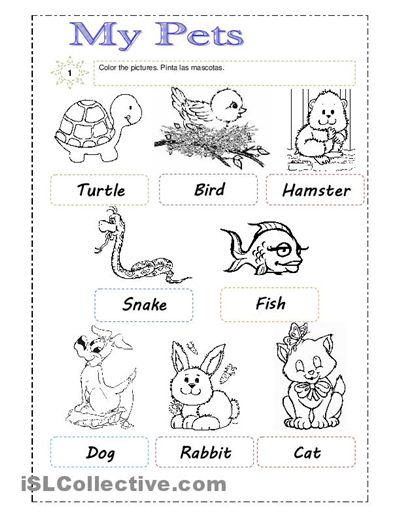 Pet Worksheets For Grade 1